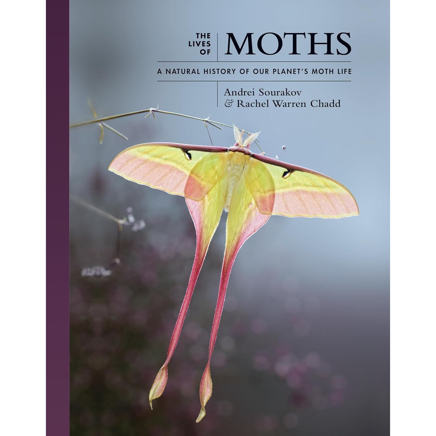 THE LIVES OF MOTHS: A NATURAL HISTORY OF OUR PLANET'S MOTH LIFE BY AND ...