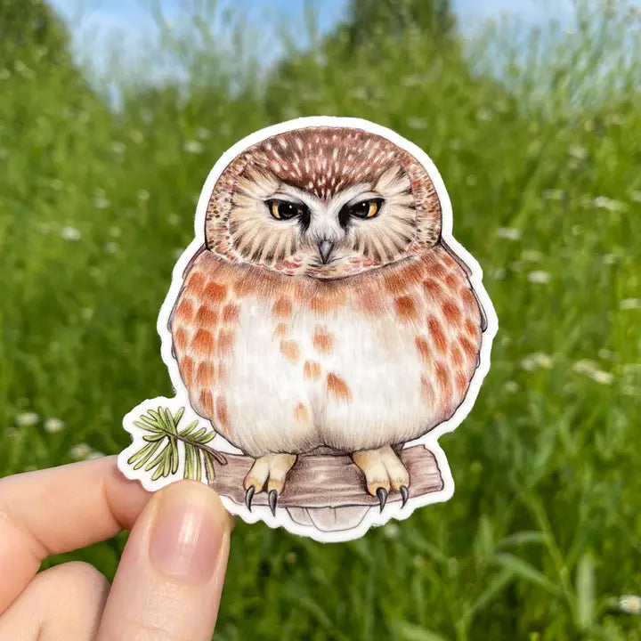 GRUMPY OWL STICKER – Games and Stuff