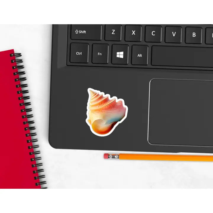 CONCH SHELL STICKER – Games and Stuff
