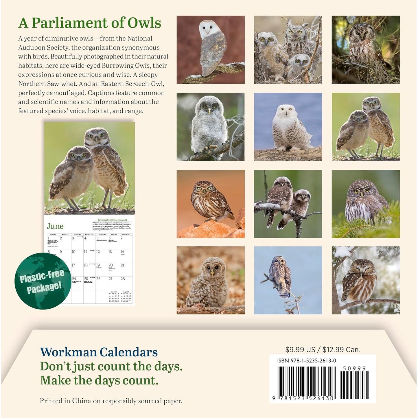 AUDUBON LITTLE OWLS MINI CALENDAR 2025 – Games and Stuff