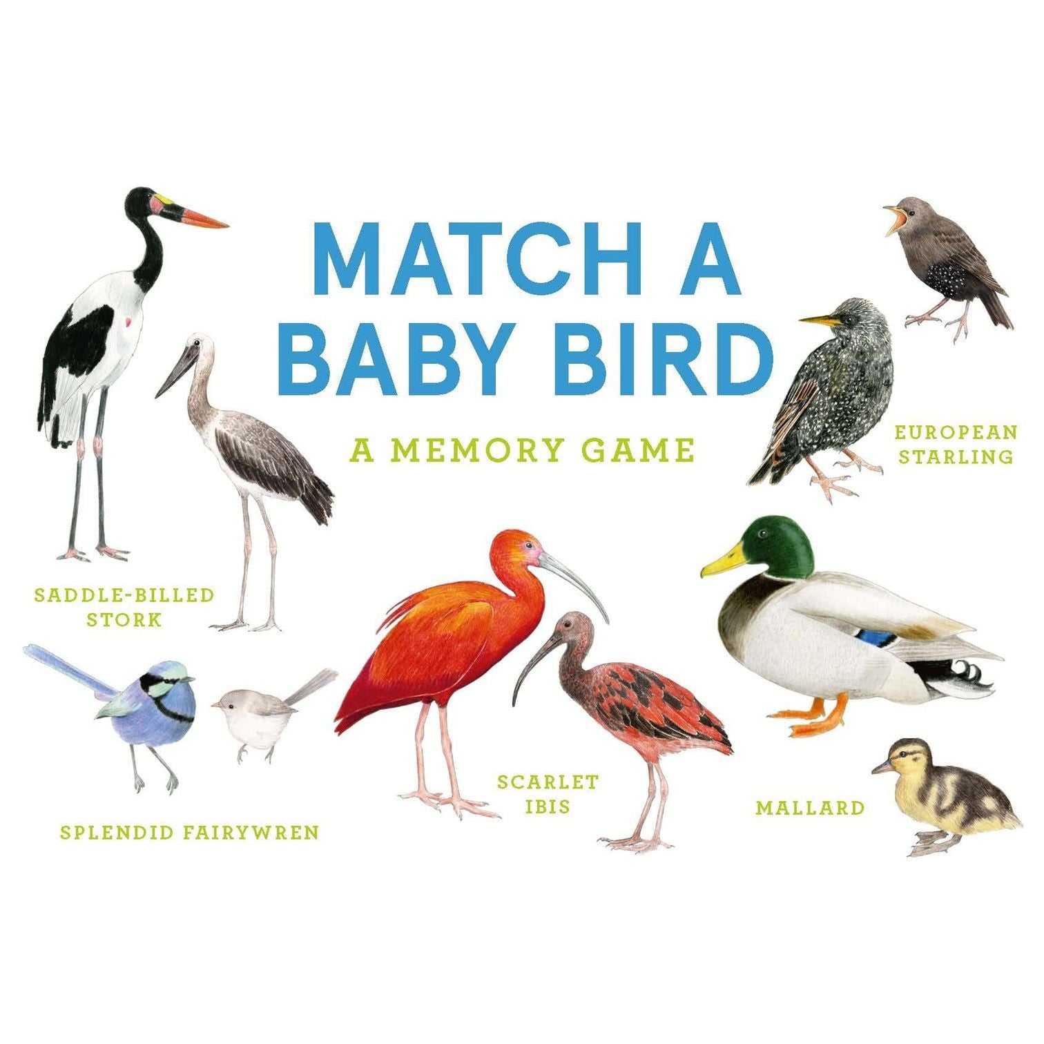 MATCH A BABY BIRD MEMORY GAME – Games and Stuff