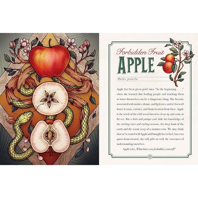 THE ILLUSTRATED HERBIARY BY MAIA TOLL – Games and Stuff