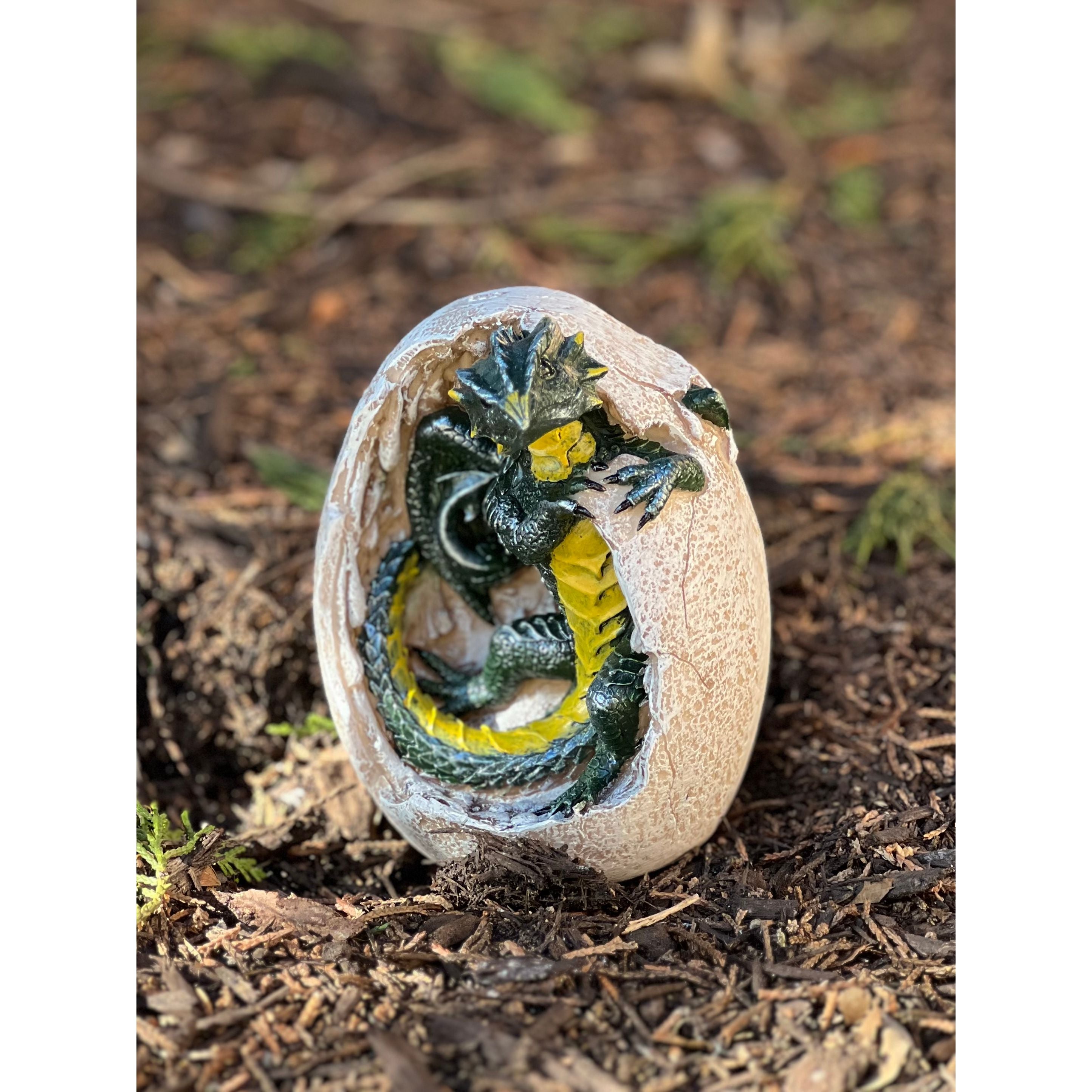 GREEN DRAGON HATCHLING – Games and Stuff