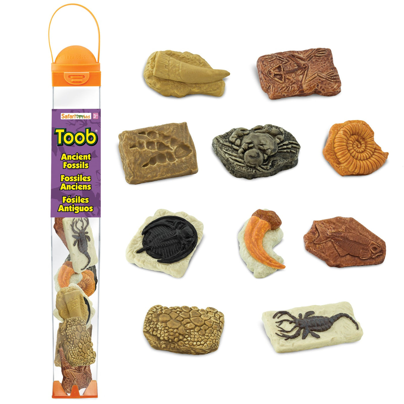 TOOB ANCIENT FOSSILS – Games and Stuff