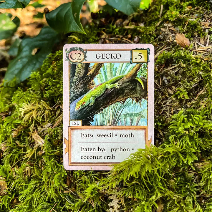 ECOLOGIES CARD GAME HIDDEN HABITATS EXPANSION – Games and Stuff