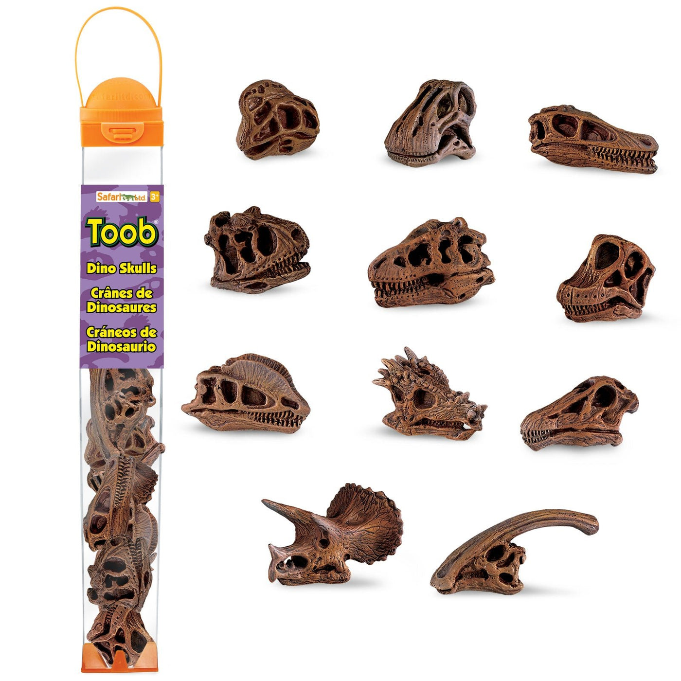 TOOB DINO SKULLS – Games and Stuff