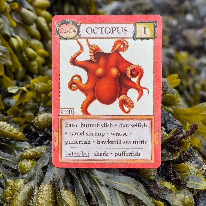 ECOLOGIES CARD GAME HIDDEN HABITATS EXPANSION – Games and Stuff